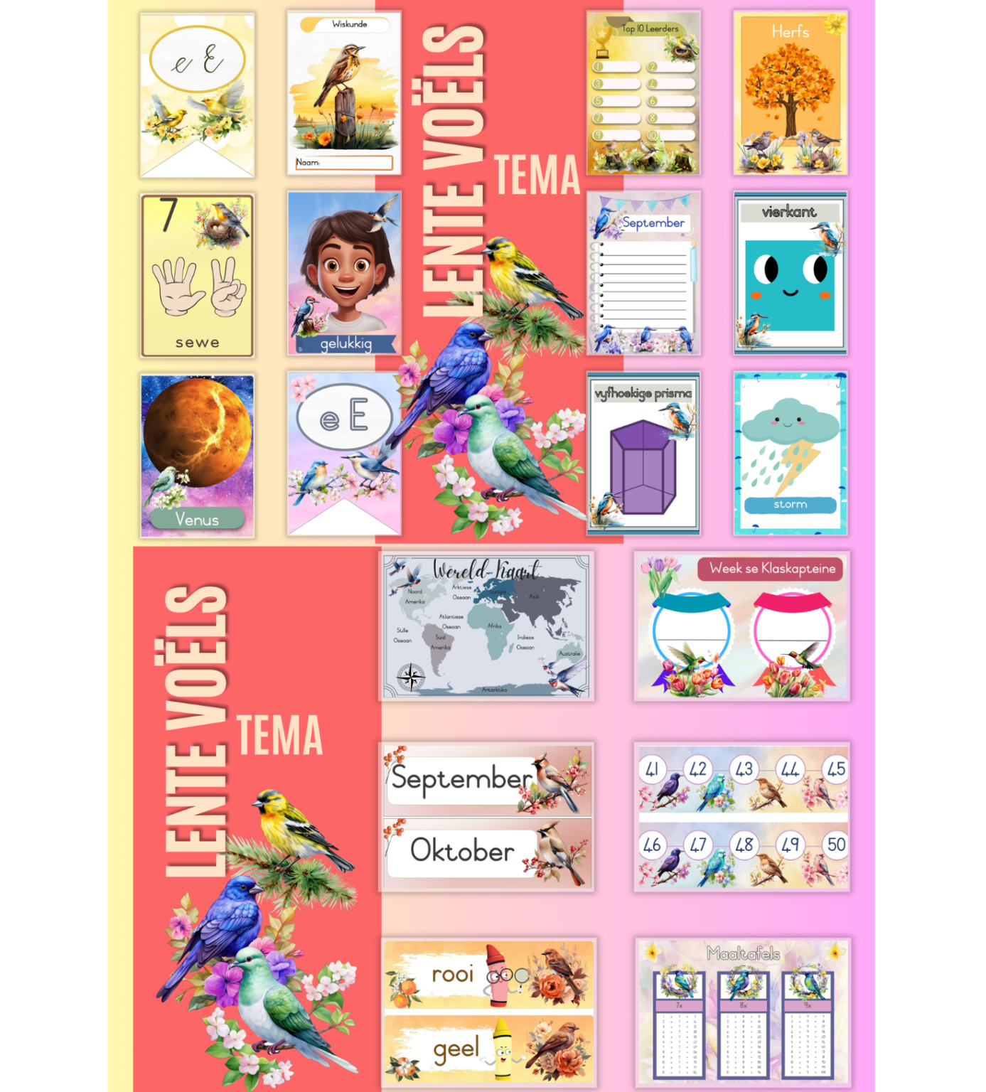 Lente Voëls Klaskamer Tema – Spring Birds Classroom Theme ...